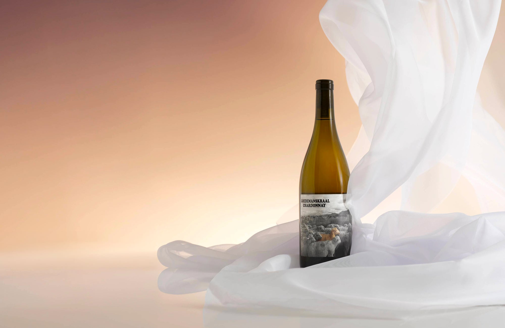Organic, Sugar Free Artisan Wine | Dry Farm Wines
