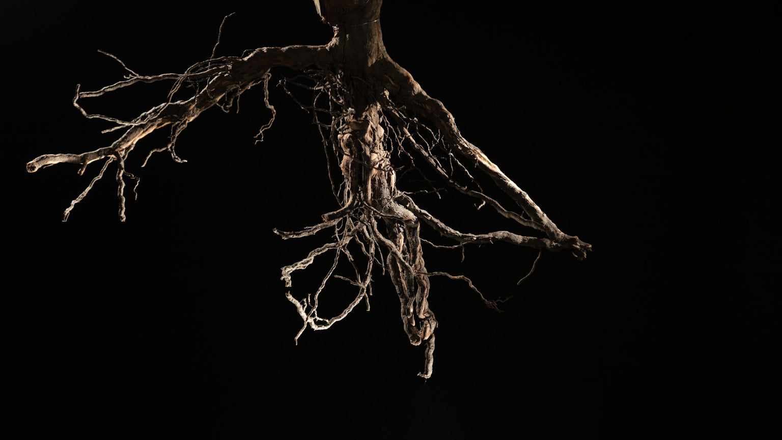 High Quality Wine Subscription Boxes from Dry Farm Wines